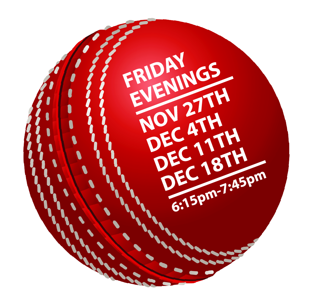 Cricket Ball G R Randhawa Cricket Coaching cricket-ball-g-r-randhawa-cricket-coaching